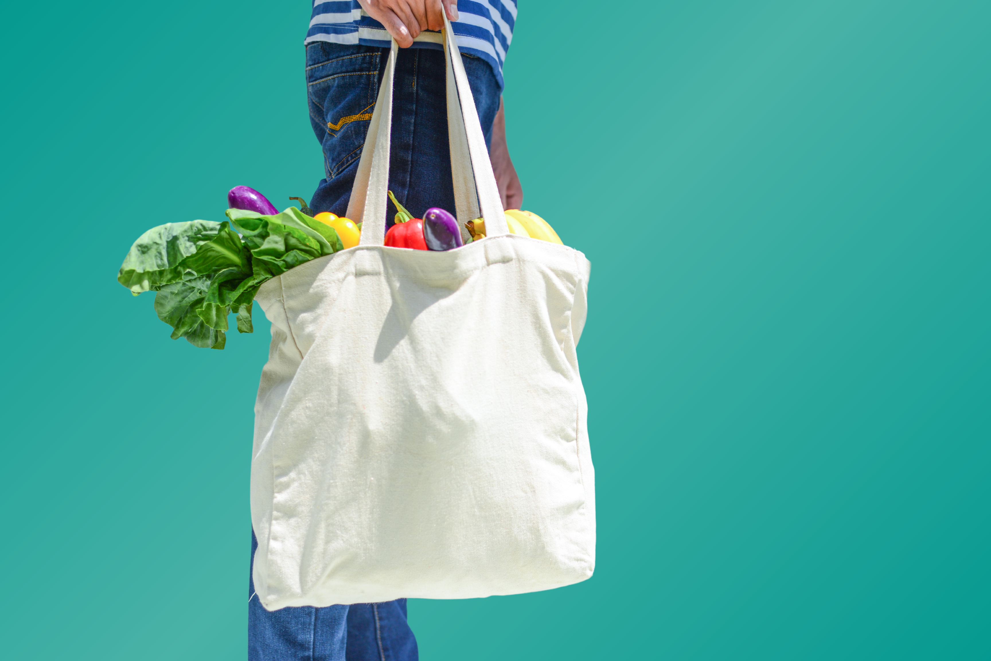 Understanding the Health-Conscious Consumer